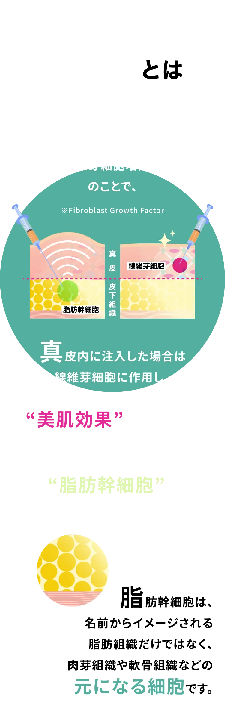 PRP+FGFってリスクはある？ | プルージュ美容クリニック（品川） | PRP美容再生医療専門・美容整形
